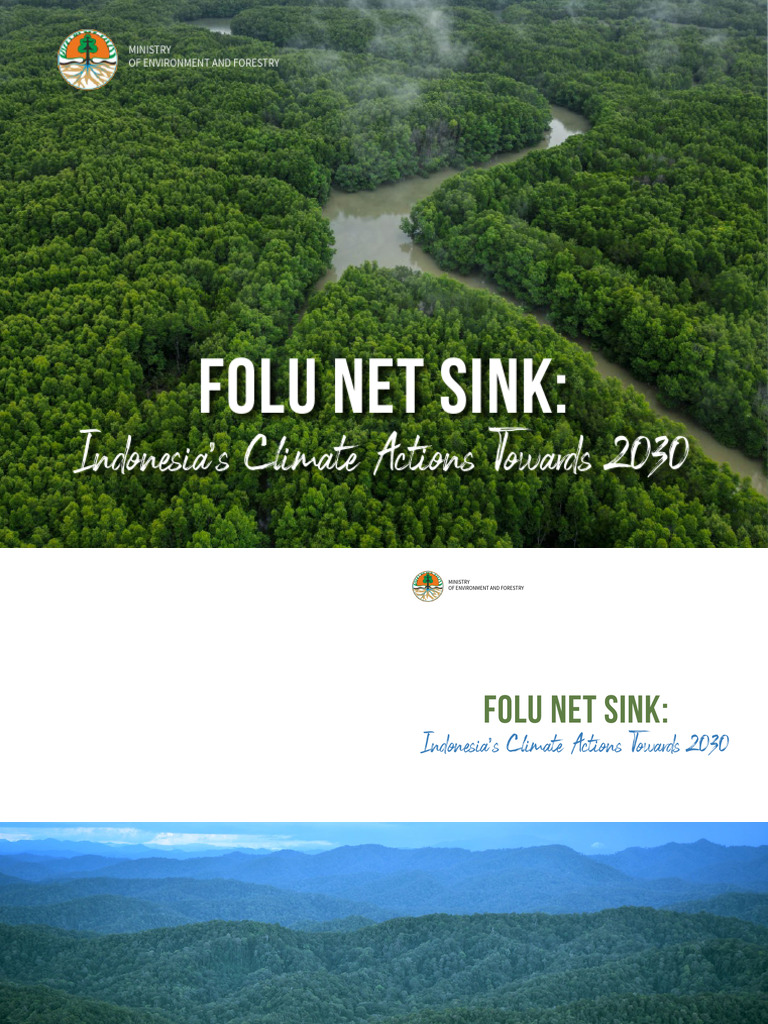 Folu Net Sink_ts | PDF | United Nations Framework Convention On Climate Change | Climate Change ...