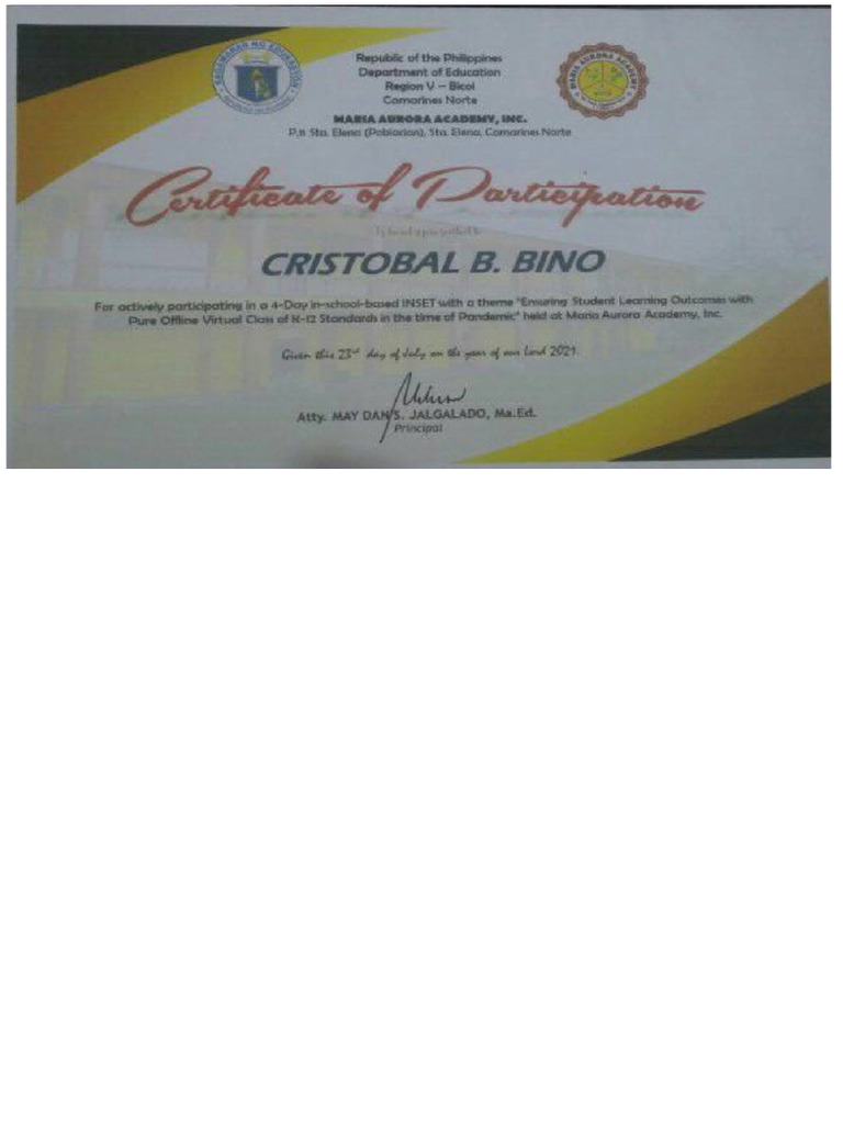 Inset Certificate | PDF