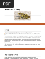 Lab Manual Toad Dissection | PDF | Abdomen | Medical Specialties