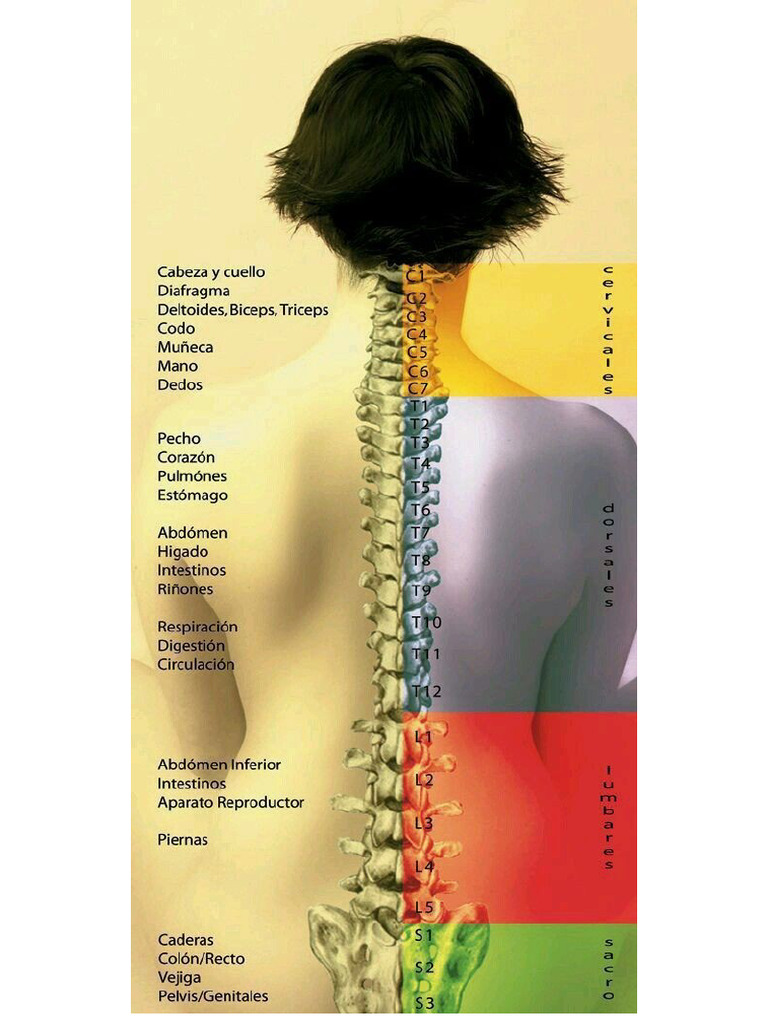 DOC-20250413-WA0000. | PDF