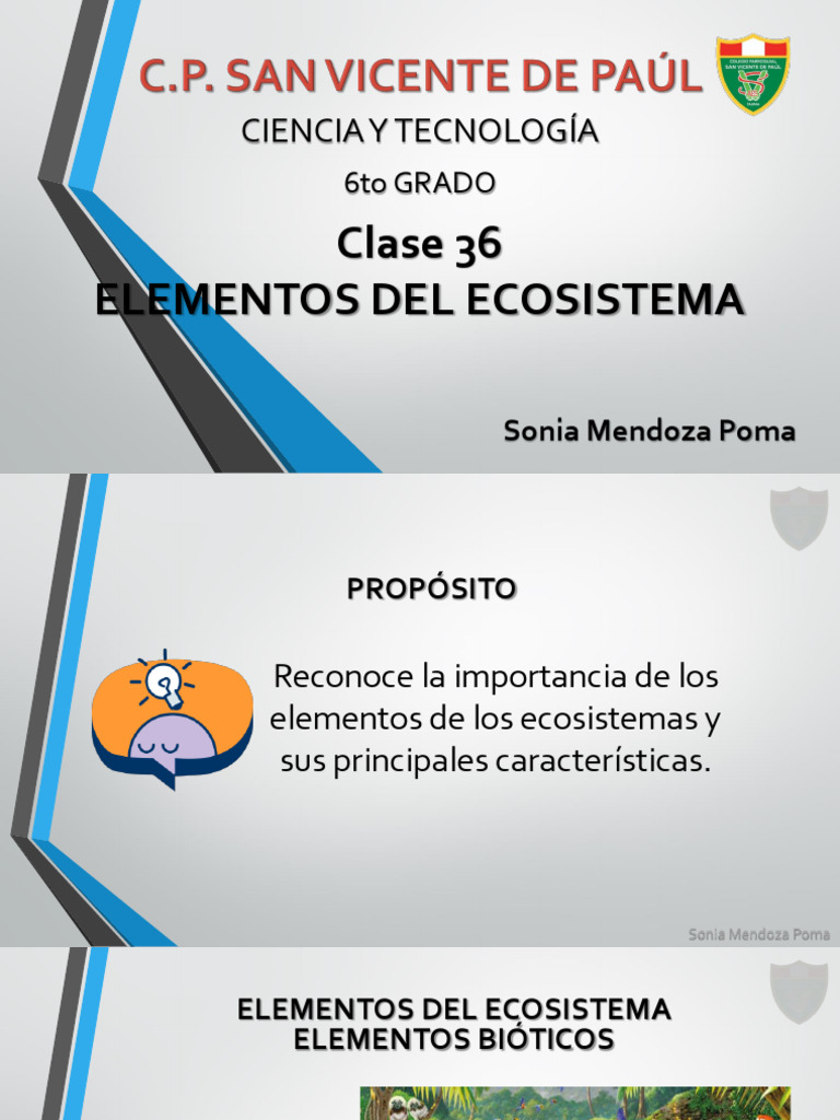 Elementos del Ecosistema en 6to Grado | PDF