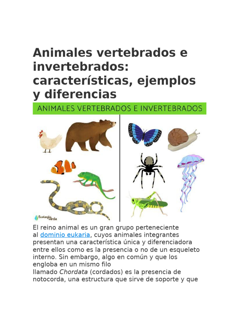 Animales Vertebrados e Invertebrados | PDF | Vertebrados | Invertebrado
