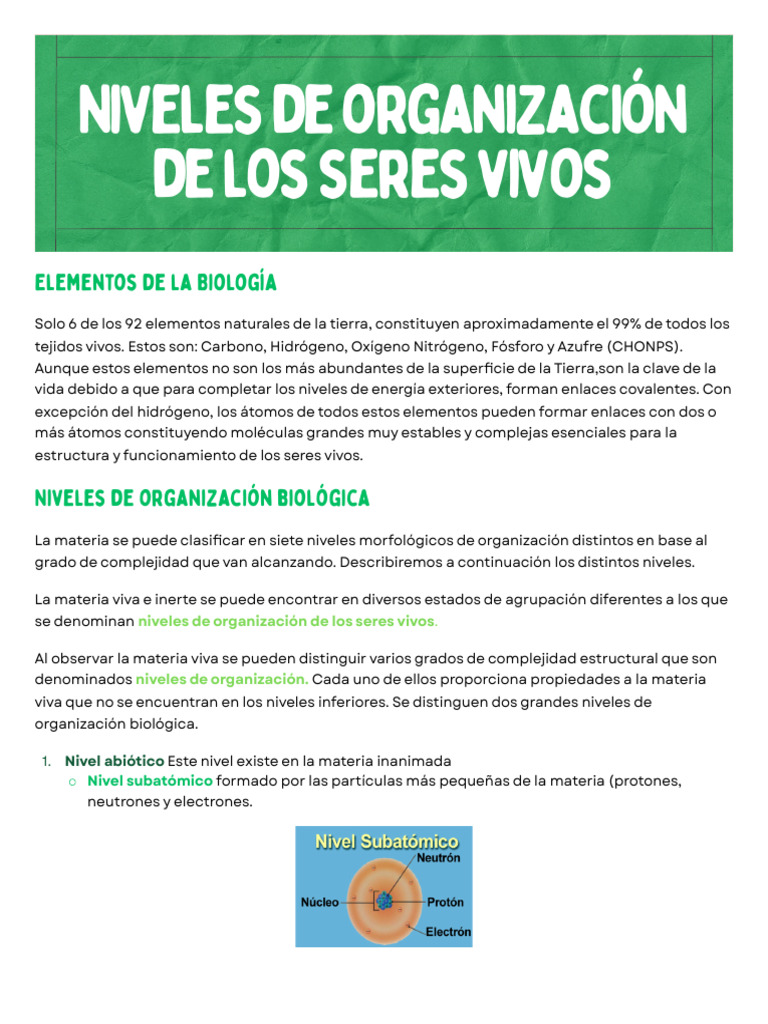 Niveles de Organización de Los Seres Vivos | PDF | Biología Celular ...