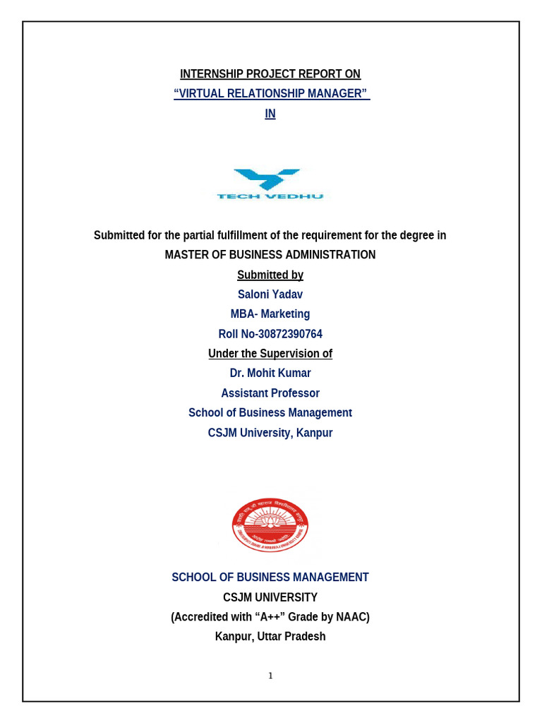 Internship Report: Virtual Relationship Manager | PDF | Customer ...