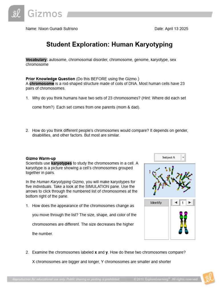 Nixon G.S - HumanKaryotypingSE | PDF | Karyotype | Chromosome