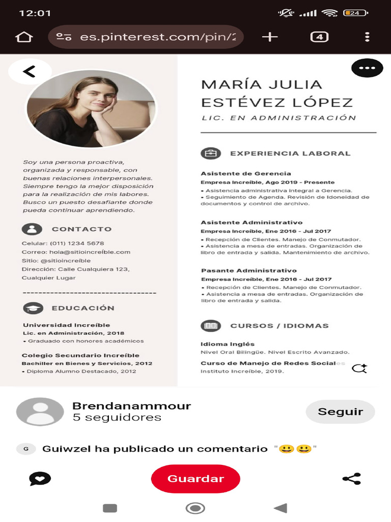 Modelo Currículum | PDF