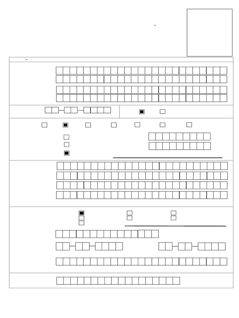 Sample Form for Visa | PDF | Passport | International Law