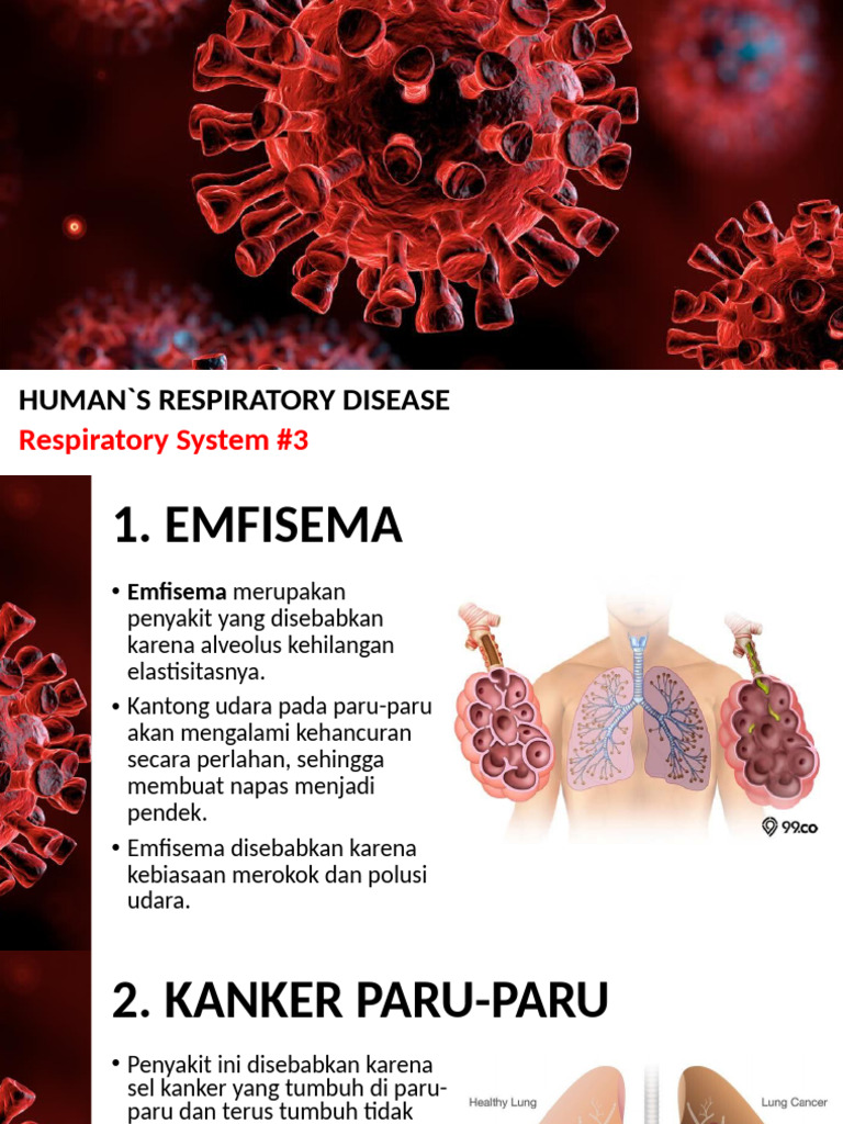 22. RESPIRATORY SYSTEM #3 - Human`s Respiratory Disease | PDF
