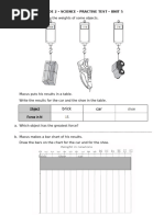 Grade 5 Nstech Project Term 2 | PDF | Materials