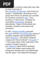 Monkey | PDF | Monkey | Ape