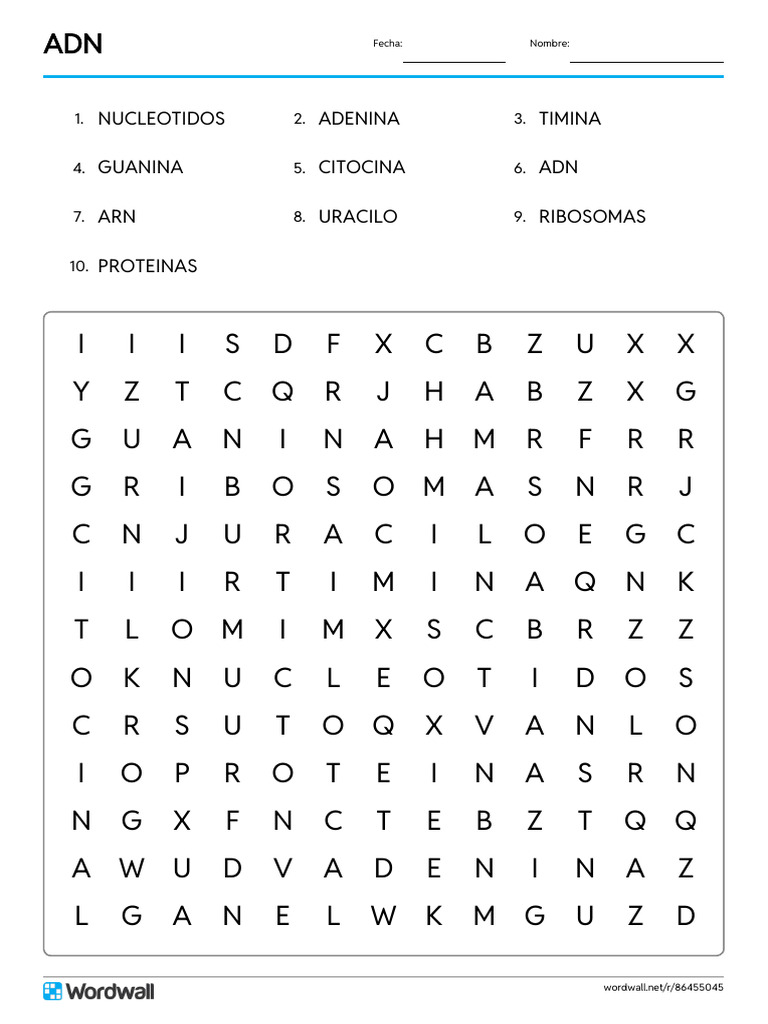 Adn Sopa de Letras | PDF