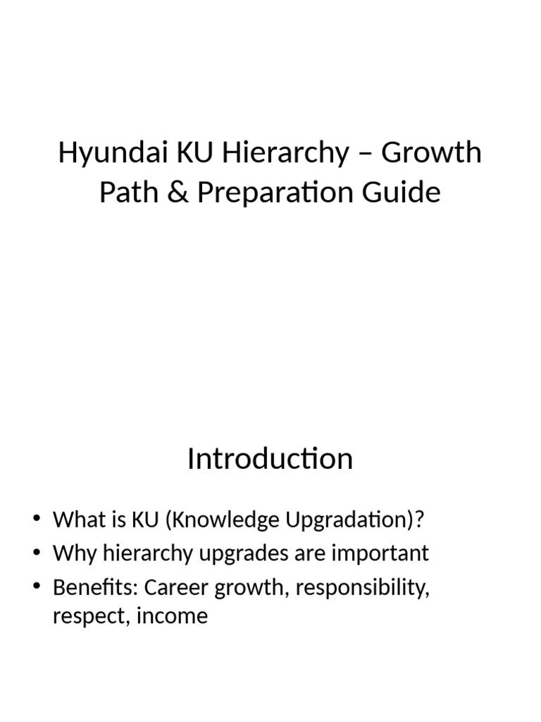Hyundai KU Hierarchy Presentation | PDF