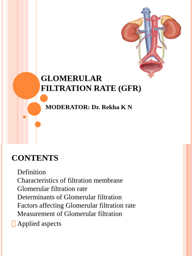 Glomerular Filtration Rate (GFR) | PDF | Kidney | Physiology