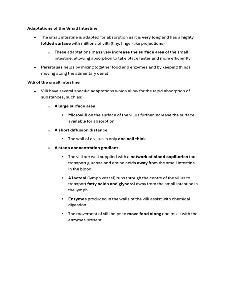 Adaptations of The Small Intestine | PDF