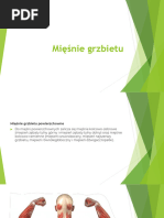 Anatomia Swini Atlas Interaktywny | PDF