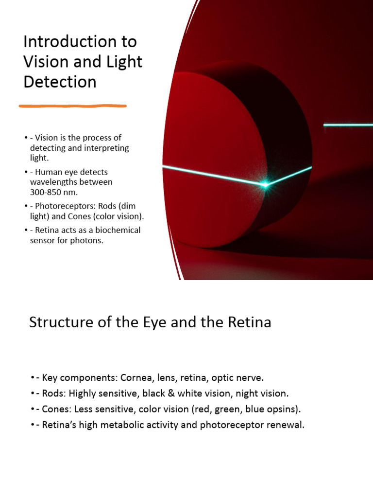 Chemistry - of - Vision - Presentation - GPT | PDF | Retinal | Visual ...