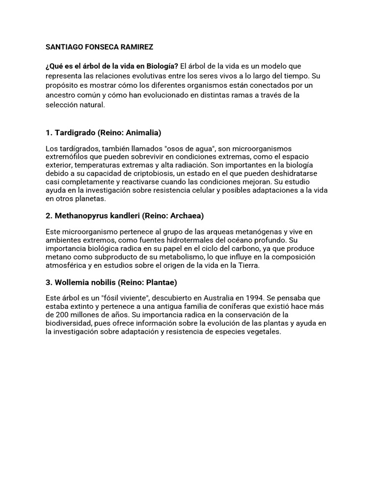 ACTIVIDAD 1 (3) | PDF