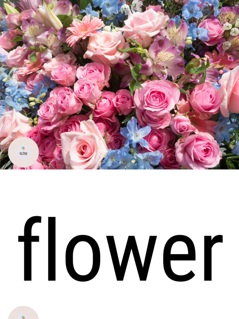 Flash Card Grade 6 Unit 7 | PDF