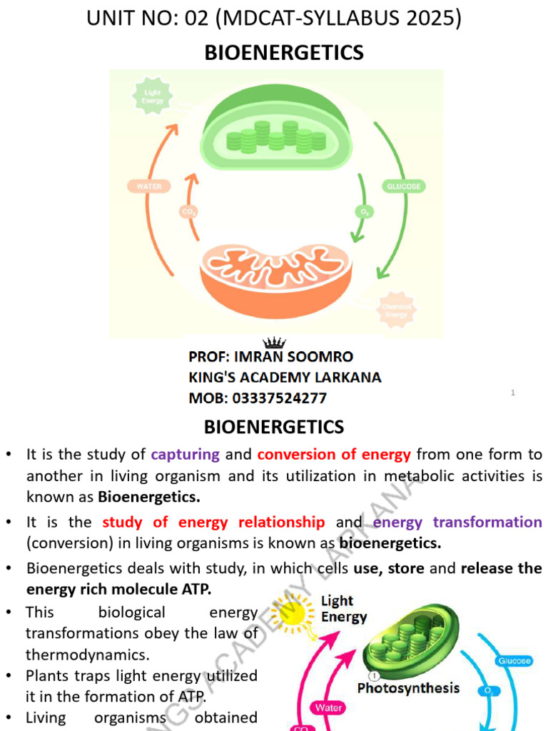 UNIT NO. 02 (MDCAT SYLLABUS 2025) Bioenergetic by Dr. Imran Soomro | PDF | Photosynthesis ...