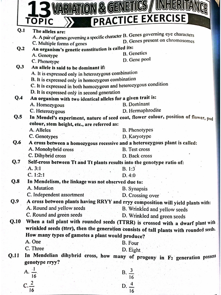 Variation and Genetics Practice Sheet | PDF