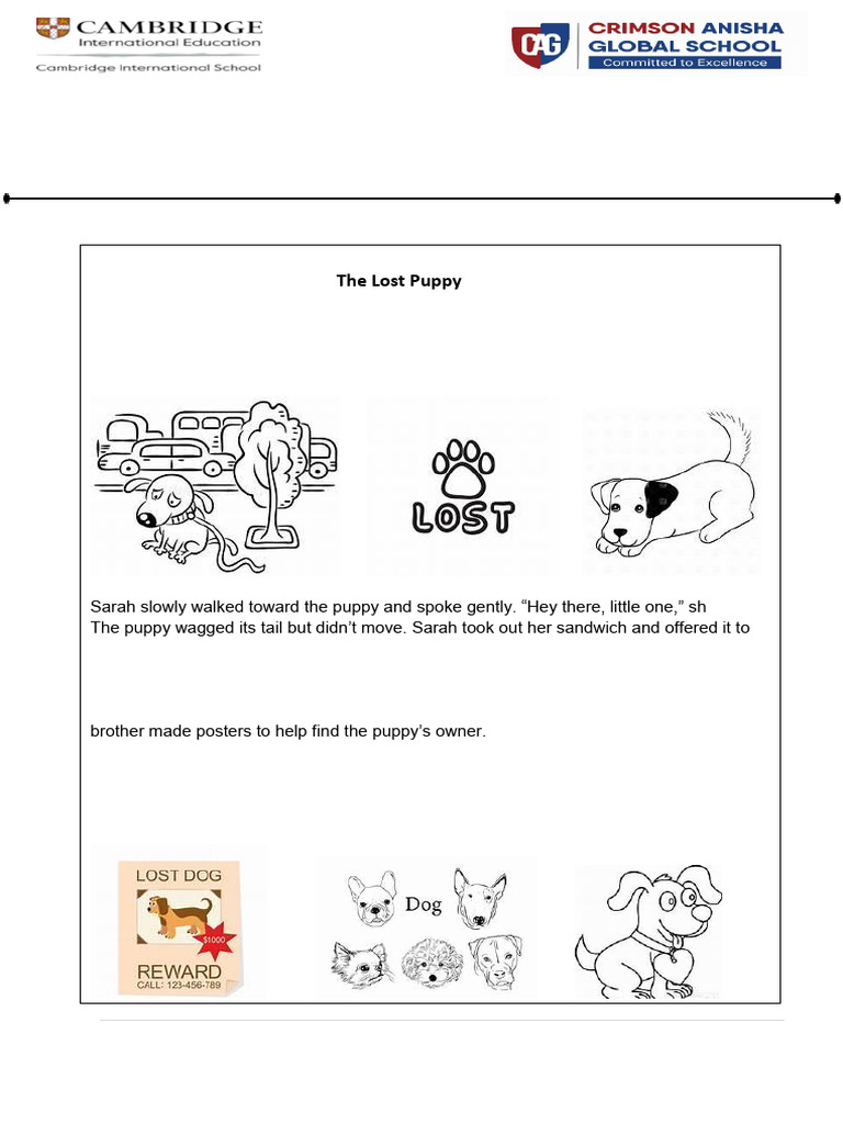 Comprehension: The Lost Puppy | PDF