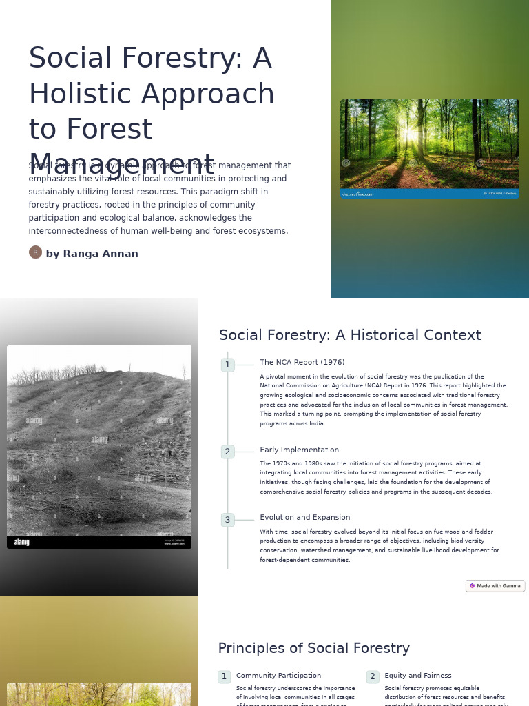 Social Forestry A Holistic Approach To Forest Management | PDF | Forest ...