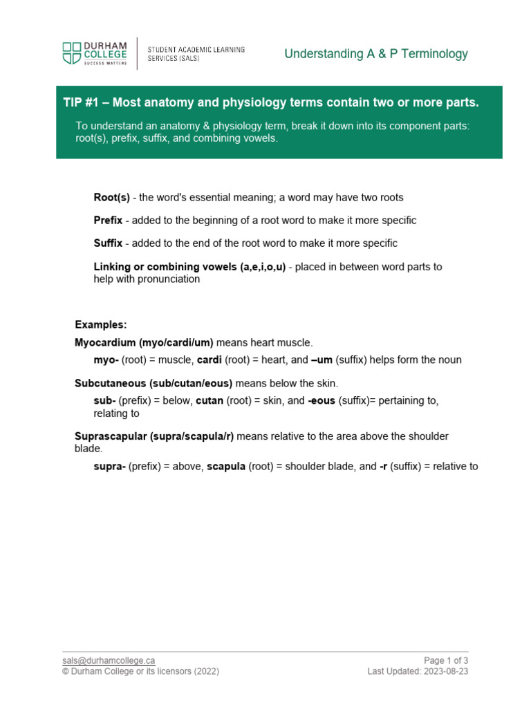 Anatomy & Physiology Terminology Guide | PDF | Heart | Skin