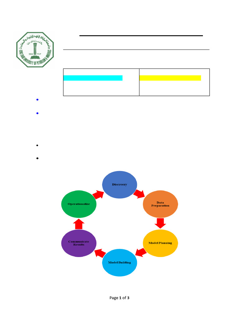 ISE-291 Data Science Project Guidelines | PDF | Data Analysis | Data