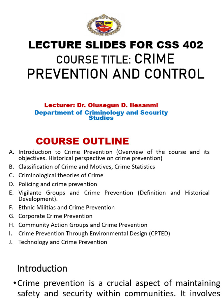 Crime Prevention Strategies Overview | PDF | Crimes | Crime & Violence