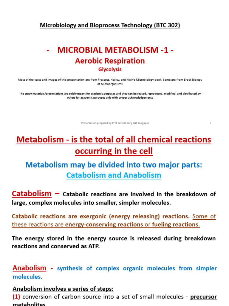 Microbiology 13 - Microbial Metabolism 1 - Aerobic respiration ...