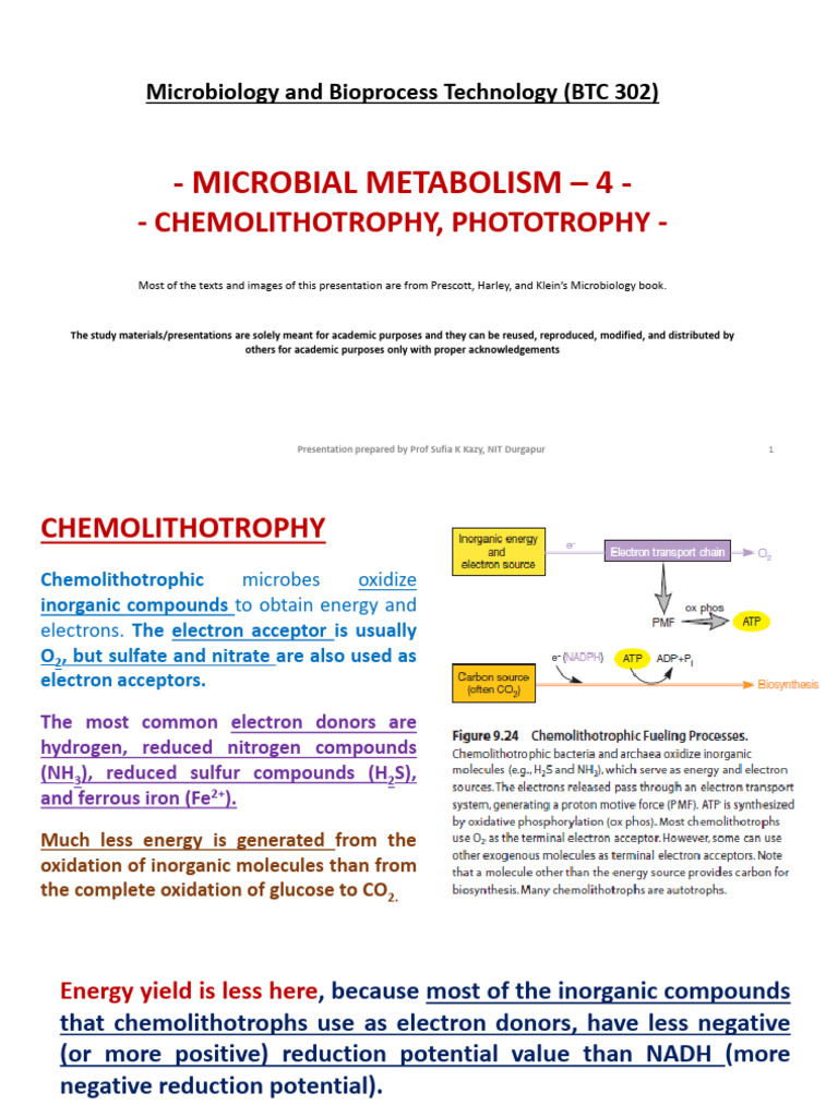 Chemolithotrophy and Phototrophy Overview | PDF | Photosynthesis ...