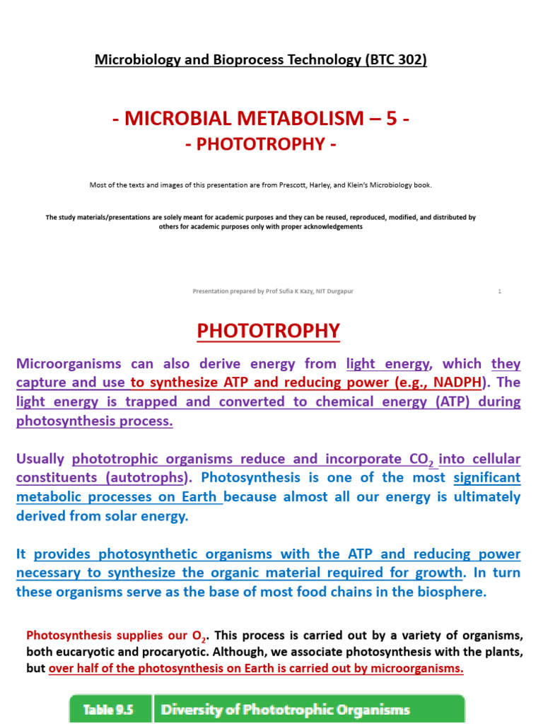 Microbiology 17 - Microbial Metabolism 5 - Phototrophy | PDF ...