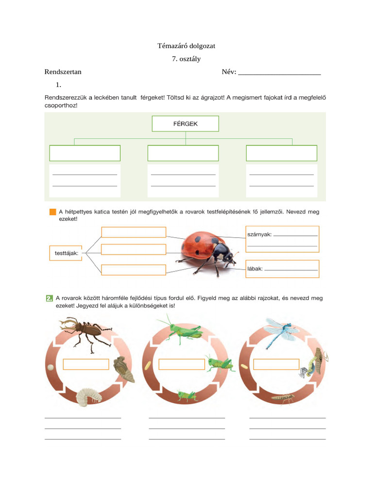 Témazáró Dolgozat Biológia 7 Rendszertan | PDF