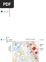 LES COMPARTIMENTS LIQUIDIENS 1ére Année Medecine | PDF | Osmose | Eau