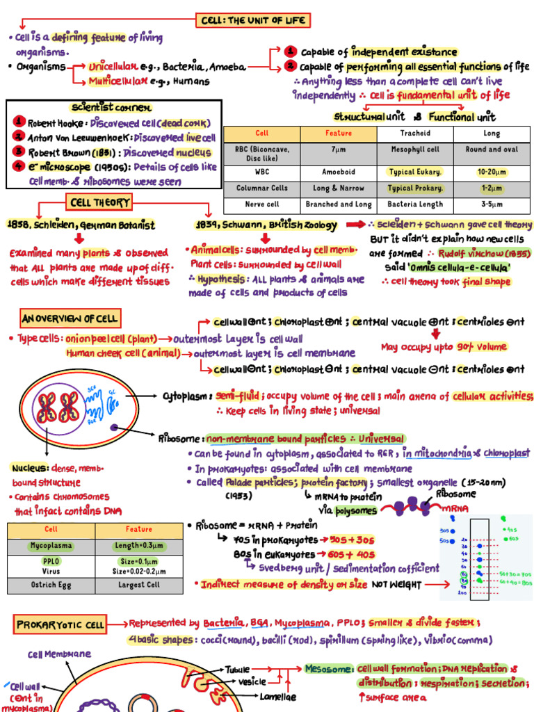 Cell The Unit of Life by Vipin Sir | PDF | Cell (Biology) | Biology