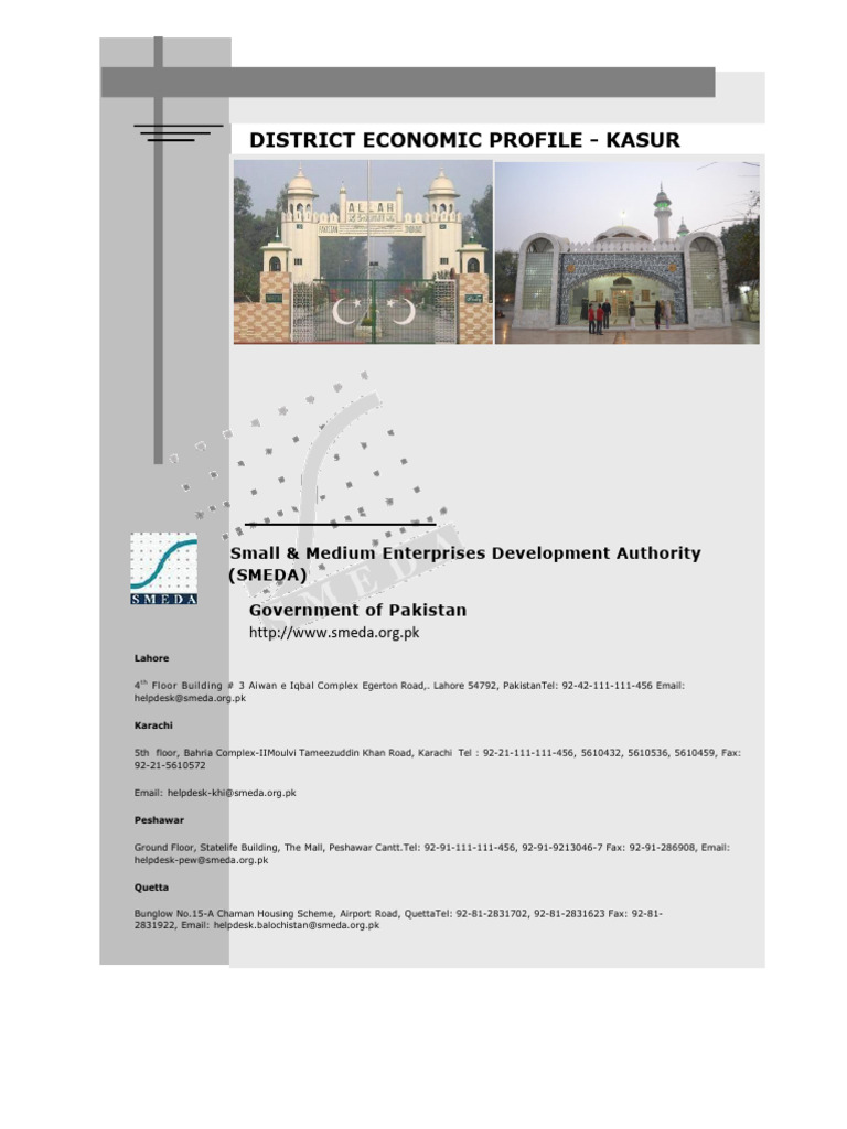 District Profile of Kasur Jun-2022 | PDF | Small And Medium Sized Enterprises | Vegetables