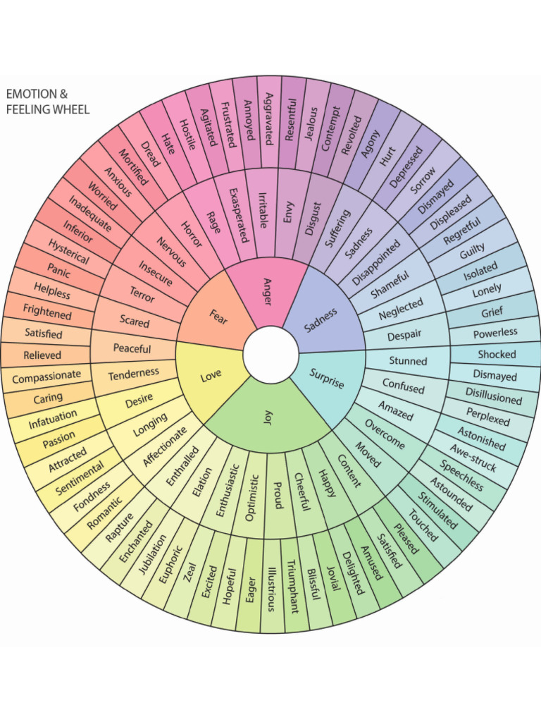 Feelings Wheel | PDF