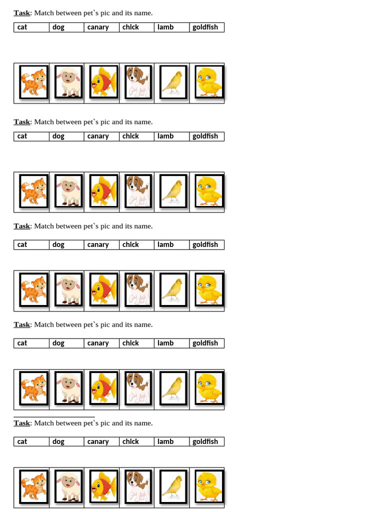 Worksheet Pets Task | PDF