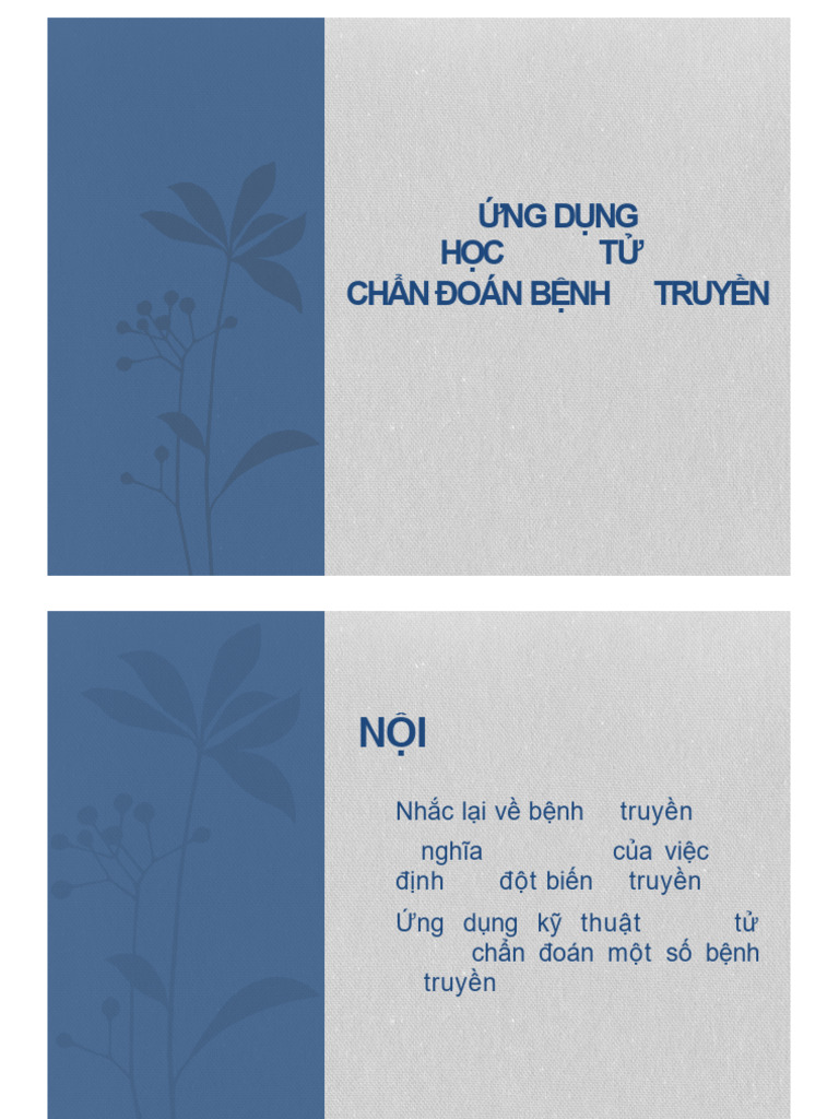 HSLS NG D NG SHPT | PDF