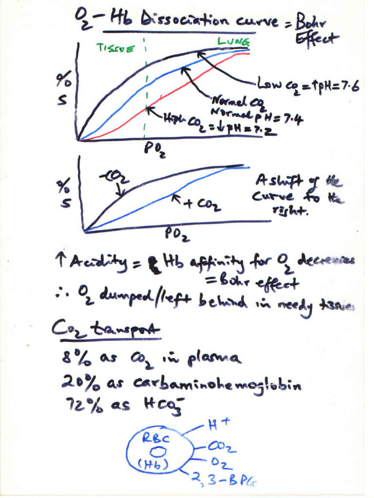 Bohr and Haldane Effects | PDF