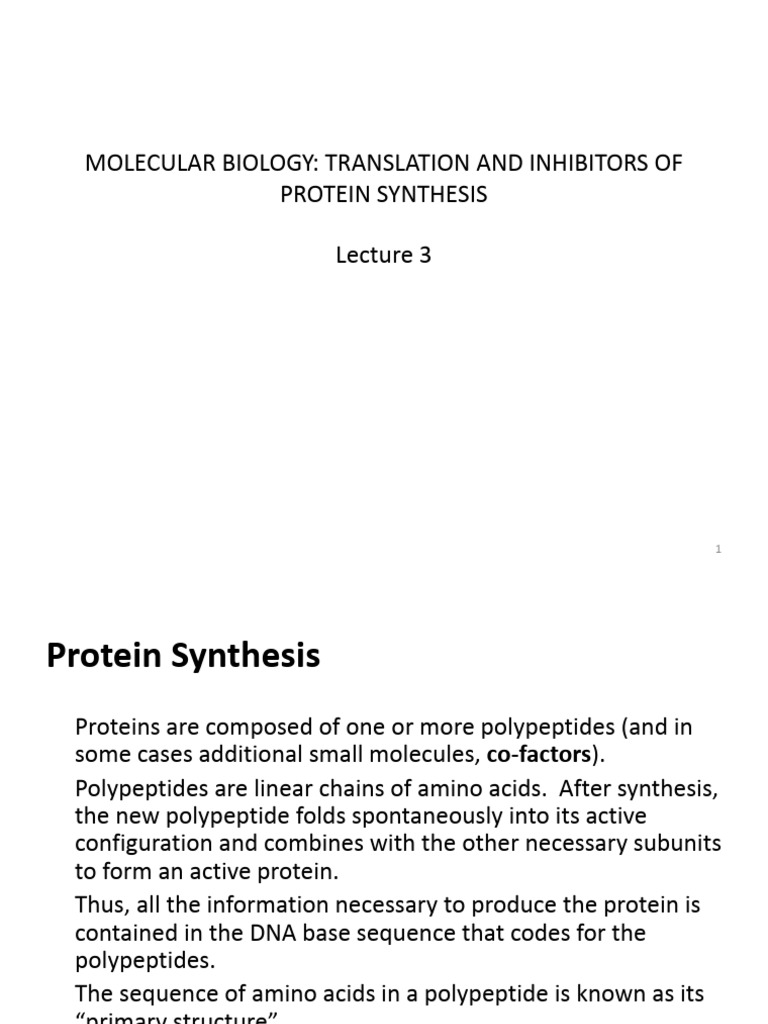 Translation - Inhibitors of Protein Synthesis | PDF | Translation ...