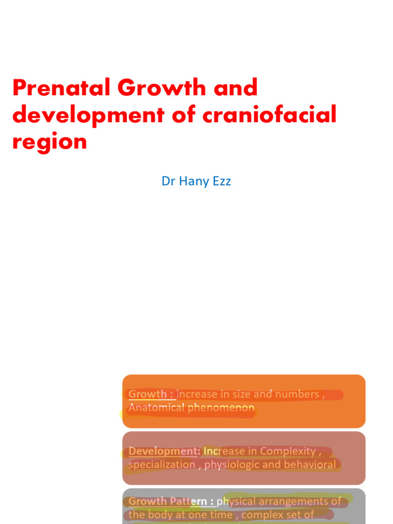 Prenatal Growth and Development of Craniofacial Region 3 | PDF | Human ...