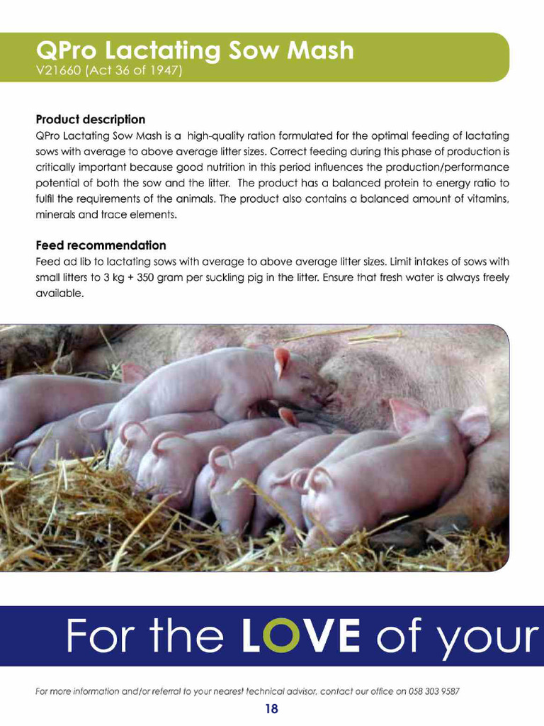 Lactating Sow | PDF