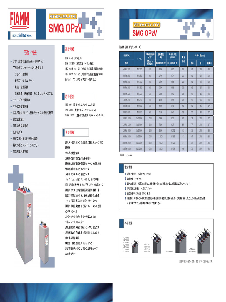 SMG - Fiamm FHS | PDF