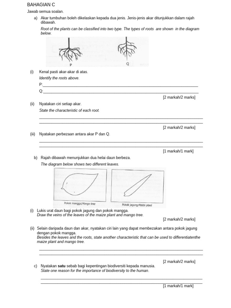 Soalan T2 Ujian 1 BAHAGIAN C | PDF