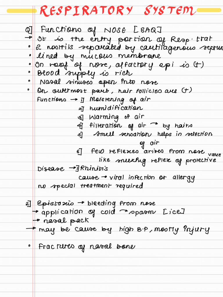 Respiratory System - 250325 - 125747 | PDF