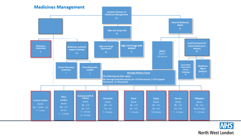 Pharmacy Organogram Overview | PDF | Pharmacy | Pharmacist