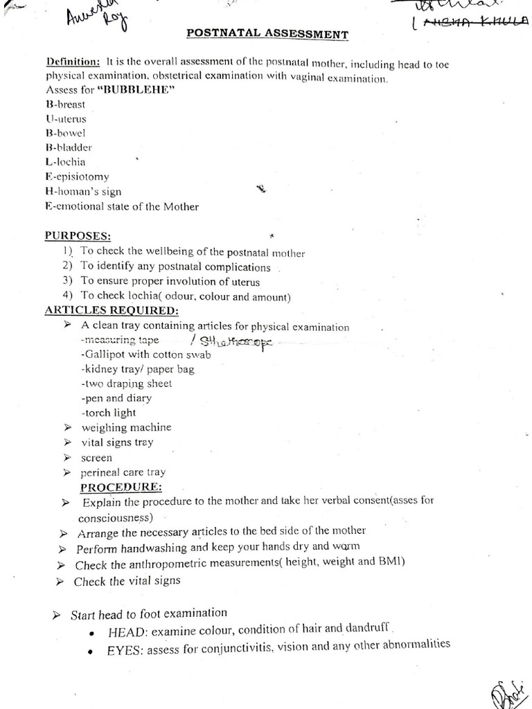 Postnatal Assessment and Perineal Care | PDF