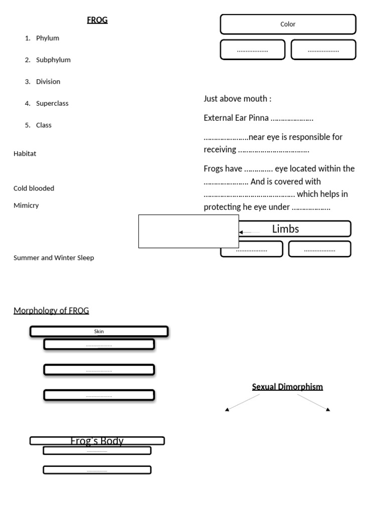 FROG | PDF