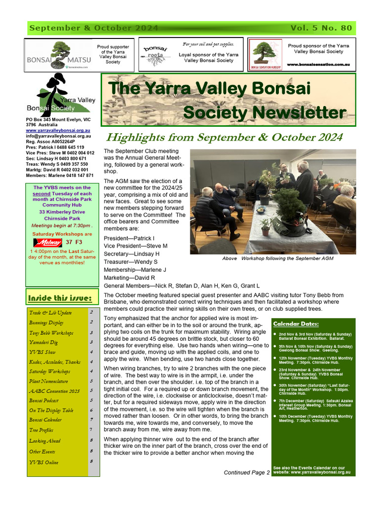 YVBS Newsletter Sep Oct24 R1 | PDF | Trees | Bonsai